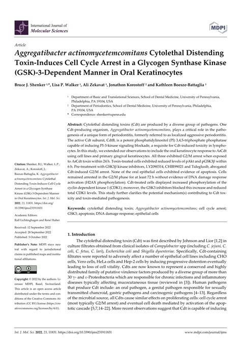 Pdf Aggregatibacter Actinomycetemcomitans Cytolethal Distending Toxin Induces Cell Cycle