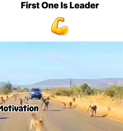 Feather Softwares On Linkedin Leadership Gratitude Leadership Supportiveculture