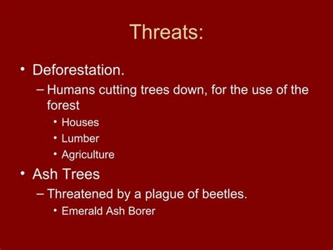 Temperate Deciduous Forest Ppt