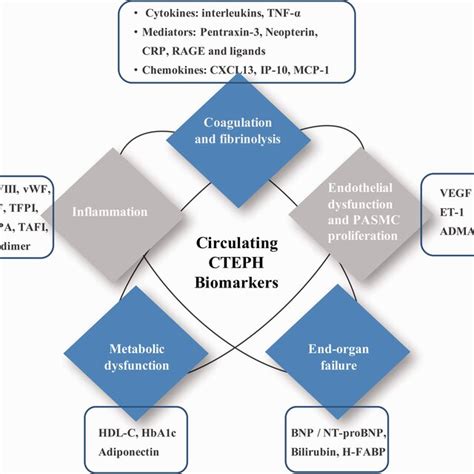 The Pathophysiology Of Cteph Cteph Chronic Thromboembolic Pulmonary Download Scientific