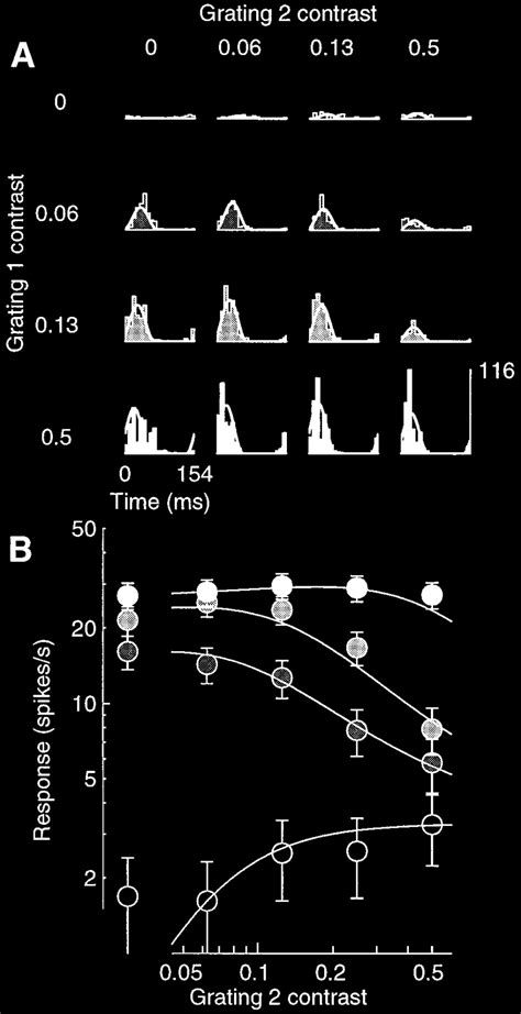 Masking With A Grating That Is Effective In Driving The Cell Responses Download Scientific