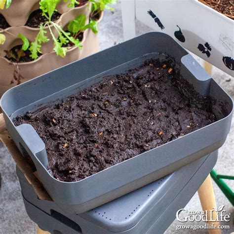 How To Start A Worm Composting Bin