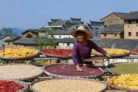 新华全媒 飞阅秋收好丰景 皖南古村晒秋 村民 农作物 樊成柱