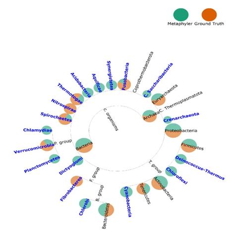 Figure S2 Visualization Of The Taxonomic Profiles Of Tools With Download Scientific Diagram