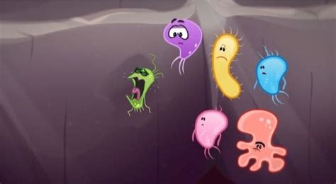 Early Draft Of The Stomach Bug Story Segment Fandom