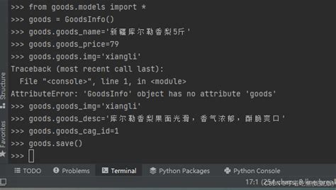 [django]数据库操作 django manage py shell csdn博客
