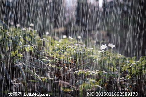 暴风雨图片大全大图 绝缘的暴风雨图片 随意云