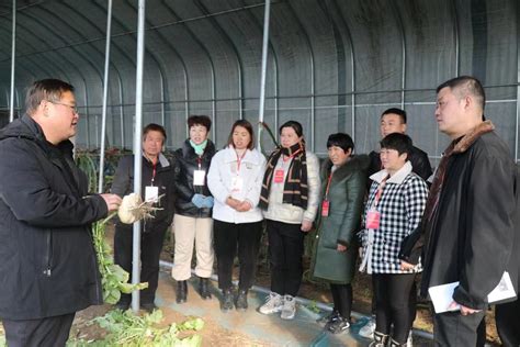 四铺镇人大调研产业发展 助推乡村振兴 濉溪县人民政府