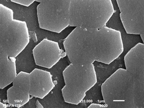 The Microstructure Of Nacre Tablets In Hexagonal And Polygonal Shapes