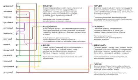 Терпены и физиология