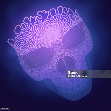 파란 안개로 둘러싸인 컴퓨터 생성 추상적인 플라스틱 와이어 두개골 기하학적 현대 패턴입니다 3d 렌더링 0명에 대한 스톡 사진 및 기타 이미지 Istock