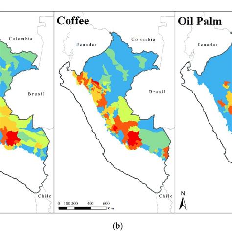 Map Showing The Distribution Of Average Cultivated Areas Of Cacao A