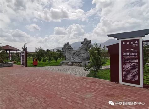 平罗县常青村：村貌“蝶变”绘就美丽乡村新画卷 宁夏新闻网