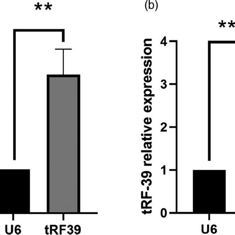 Statistics Of Known Tsrna Length The Length Distribution Of Mature Download Scientific Diagram