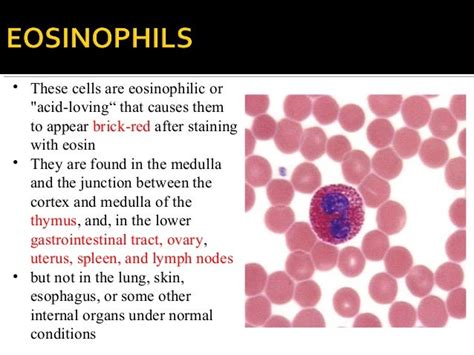 Eosinophilia Meaning