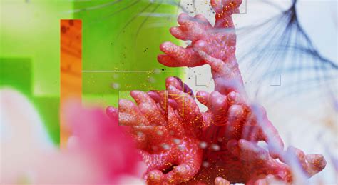 Сортировка данных в Sql Sql — это просто