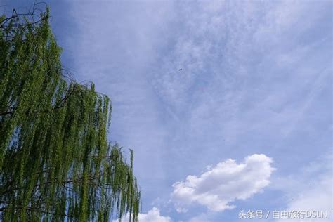 春遊陶然亭公園追憶童年的美好回憶 每日頭條