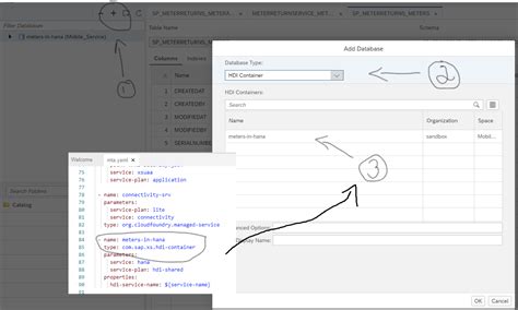 Cap Access The Hana Db Behind Via Hana Explorer Sap Community