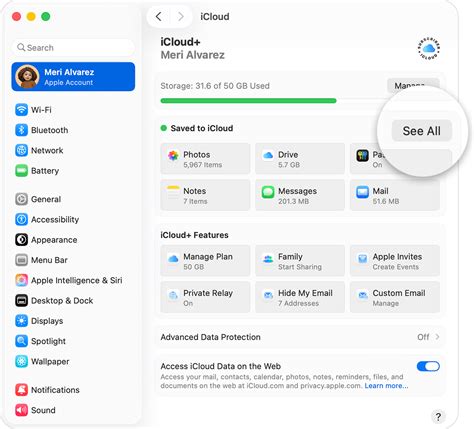 Rediger Hvilke Apps Der Skal Synkroniseres Med Og Lagre Data På Icloud Apple Support Dk