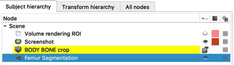 Ct Femur Muddling Through Medical Imaging