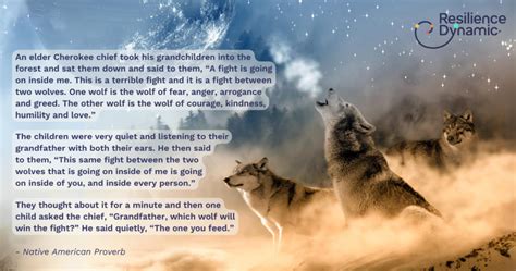 Build Your Resilience A Native American Proverb Resilience Dynamic