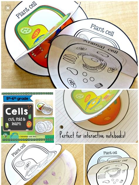 Science Interactive Notebook Cells Artofit