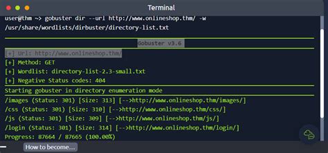 detailed writeup walkthrough of become a hacker from tryhackme with