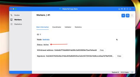 setup native node app mainnet mac documentation