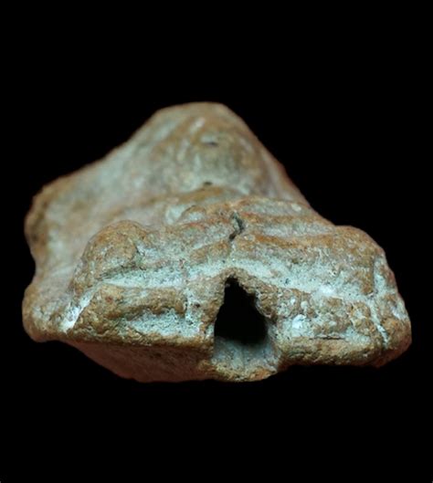 ประมูล พระร่วงนั่งเนื้อดินเคาะครับ พระล้านนา คอม เว็บ พระเครื่อง พระบูชา อันดับหนึ่ง ของภาคเหนือ