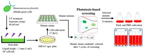 Marine Drugs Special Issue Fucoxanthin And Astaxanthin—production Biofunction And Application