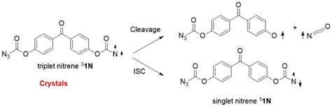 Noha And Coworkers Have A New Paper On The Solid State Reactivity Of Carbonylbis Phenylene Dicarbon