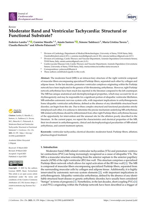 Pdf Moderator Band And Ventricular Tachycardia Structural Or Functional Substrate
