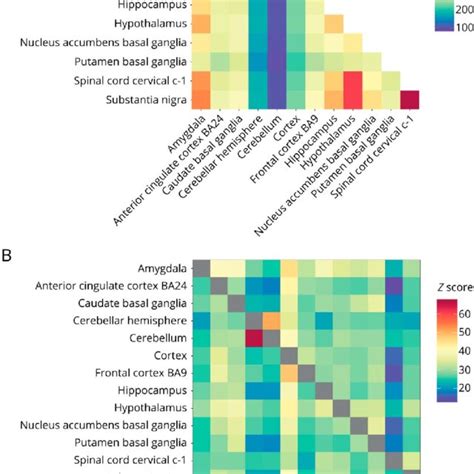 Gene Overlap A And Coexpression Preservation B Between Modules