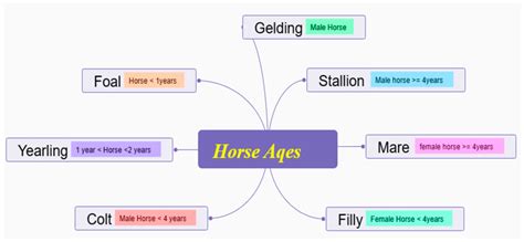 An Optimization Algorithm For Embedded Raspberry Pi Pico Controllers