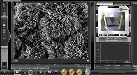 Caso De Éxito Análisis Sem En Componentes Eléctricos