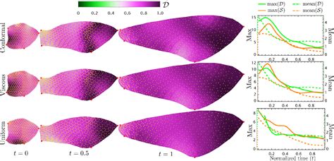 Figure 1 From Data Driven Quasiconformal Morphodynamic Flows Semantic Scholar