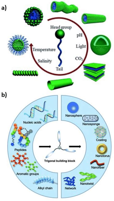 Schematic Illustrations Of Self Assembled Structures Formed From