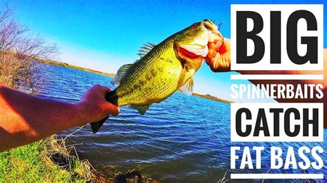 Big Spinnerbaits Catch Fat Bass Youtube