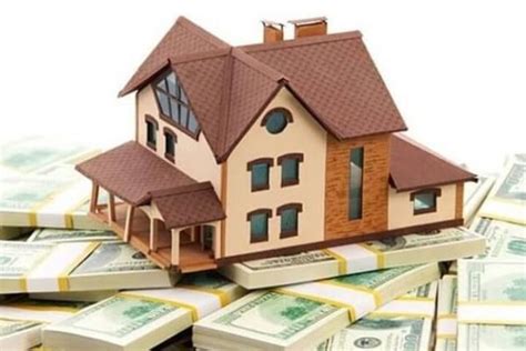 Các Loại Thuế Nhà đất Phải Nộp Theo Quy định Năm 2024 Luật Nhân Dân