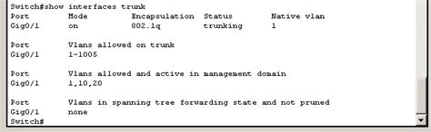 Show Interfaces Trunk