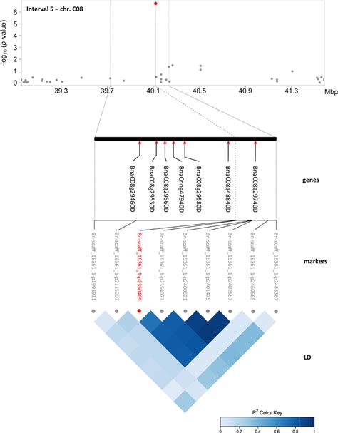 Manhattan Plot For A Representative MTA In The Candidate Region 5 On