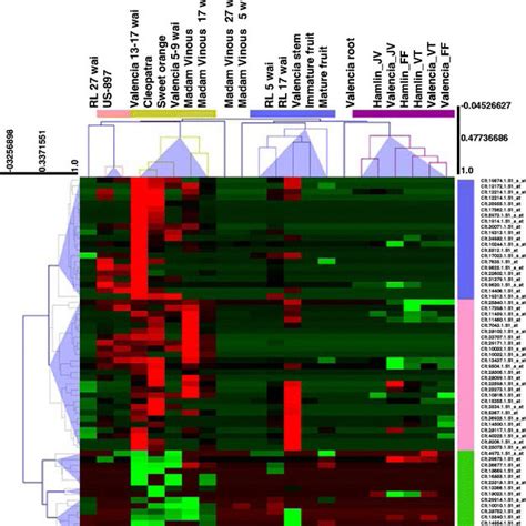 Hierarchical Clustering Of 65 Common Probe Sets Identified By Both