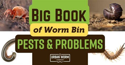 The Big Book Of Worm Bin Pests And Problems