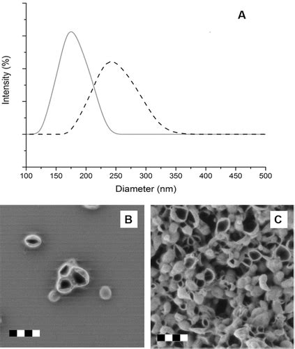 Large‐scale Preparation Of Polymer Nanocarriers By High‐pressure