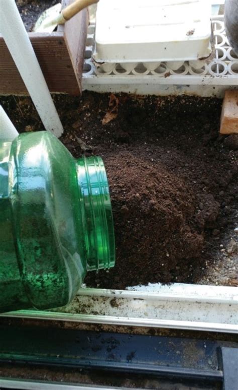 베란다 농부의 슬기로운 친환경 퇴비 생활