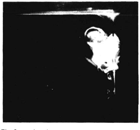 Figure 3 From Flow Visualization In A Circular To Rectangular Transition Duct Semantic Scholar