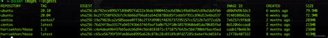 docker 使用手册 docker使用手册 csdn博客