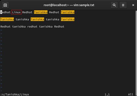 How To Use The Vim Text Editor An Introduction For Developers