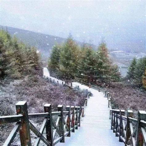 下雪啦 北京