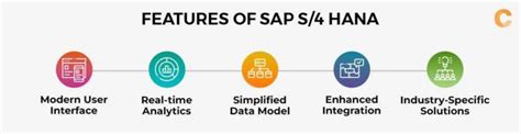 SAP Business Suite On HANA Vs SAP S HANA Which Is Right For You